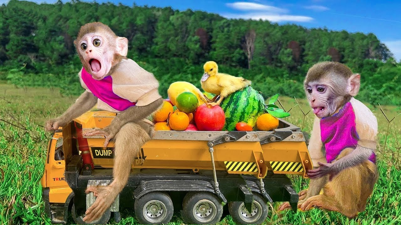 Tom and Jerry monkey classic cartoon video| Bin Bin famer monkey ...