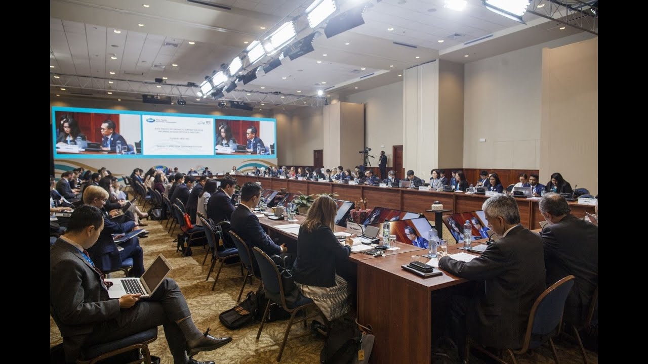 APEC CEO Summit 2024 : ¿Cuál es su importancia y a quiénes reunirá en ...
