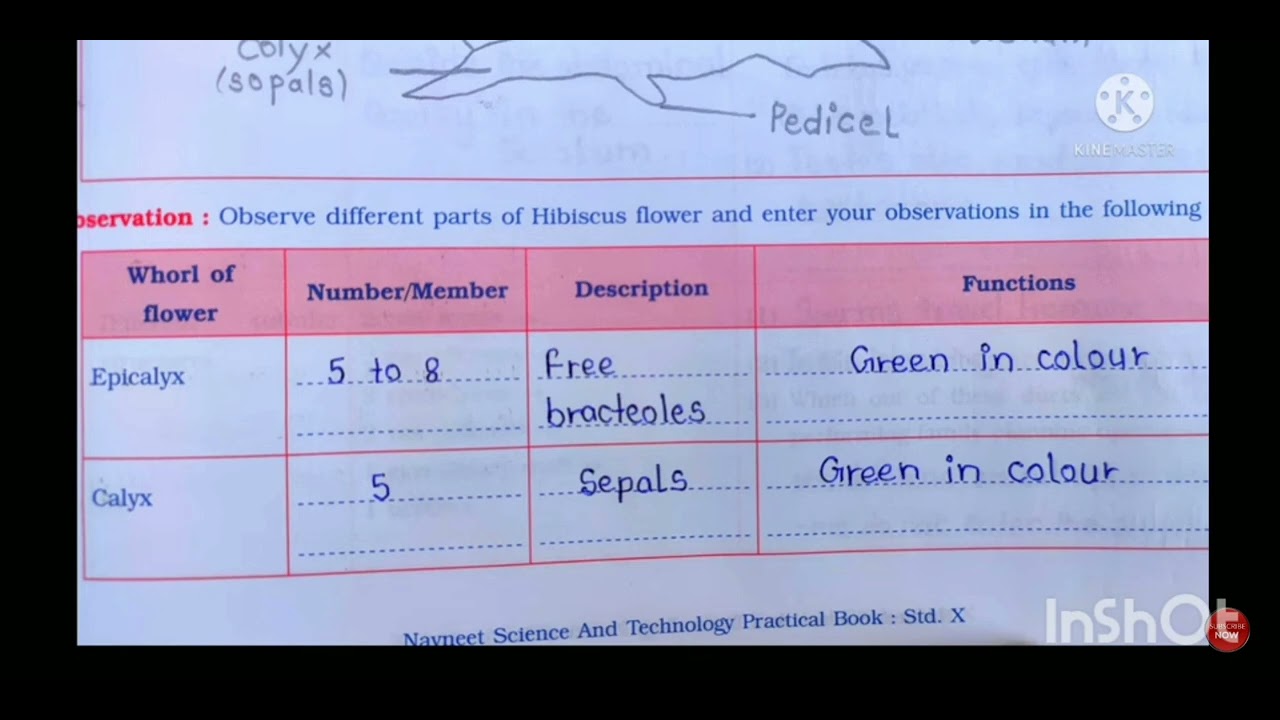 10 Th Class Science Practical Book Part 2 Experiment 3 YouTube 10-th-class-science-practical-book-part-2-experiment-3-youtube
