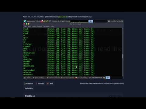 Using what you learned in this section, run a parameter fuzzing scan on ...