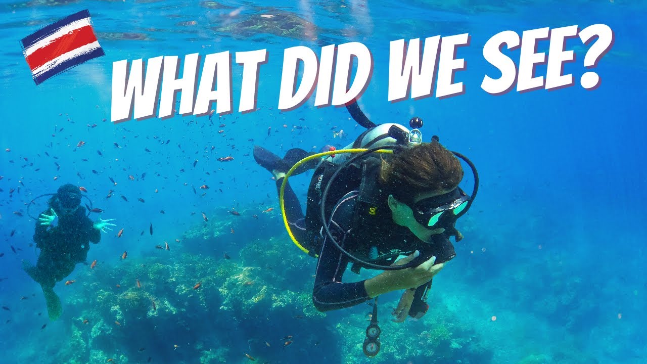 Cano Island Scuba Diving & Tours | Copa De Arbol