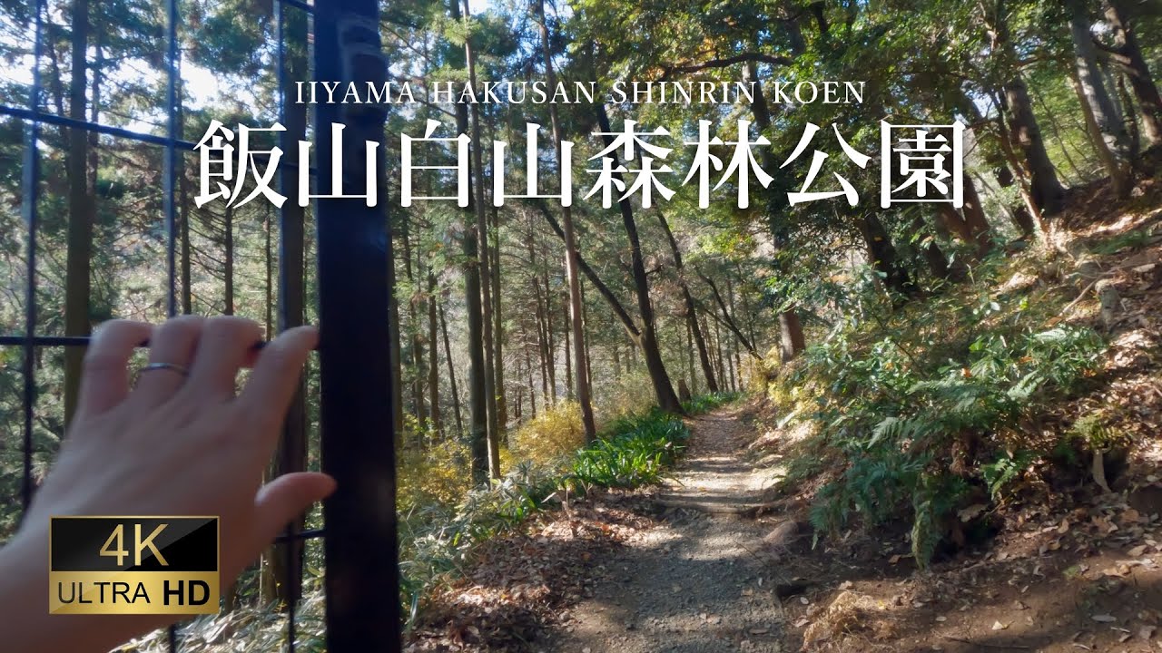 Walk in the Iiyama Hakusan Shinrin Koen(Forest Park). なかなかの運動な飯山白山森林公園で ...