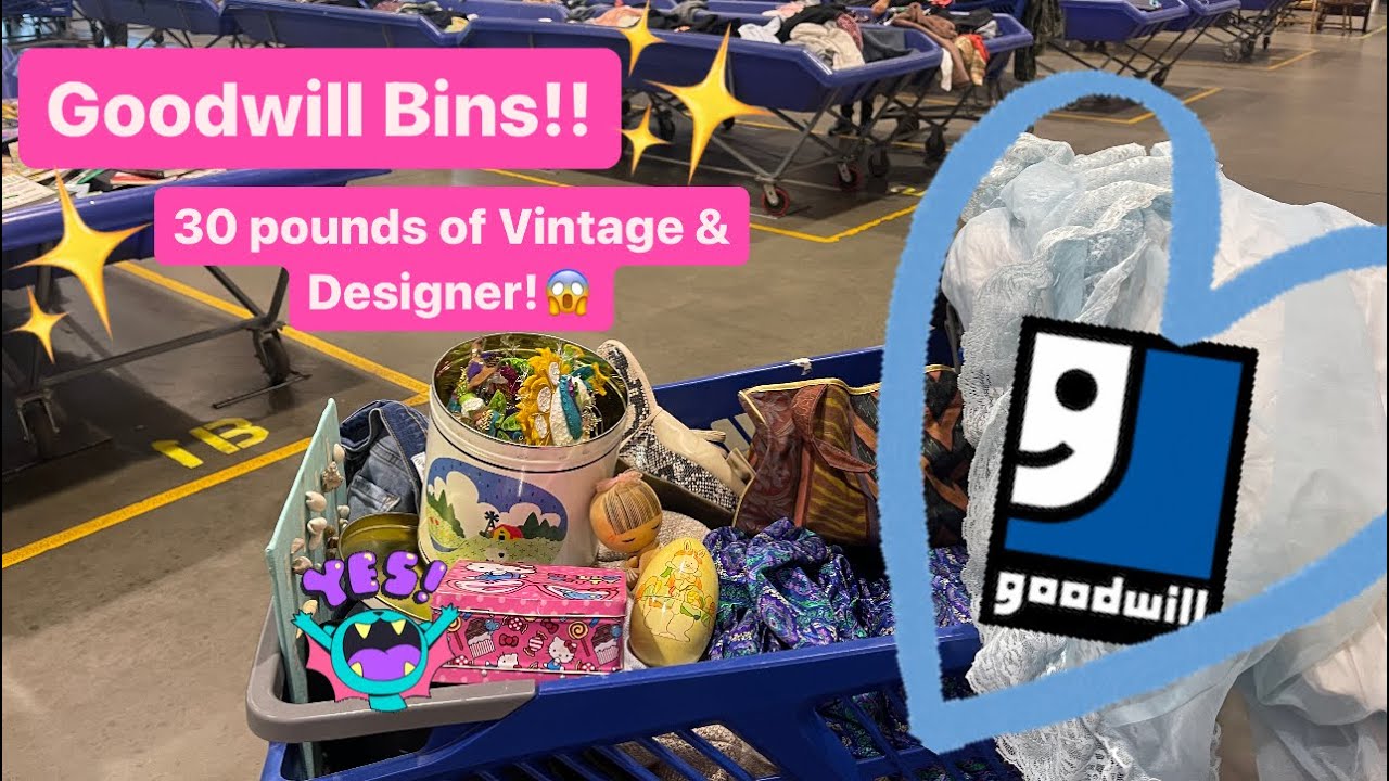 Let’s GO To Goodwill Bins! Let’s Dig Through 50+ Bins!! Thrift With Me ...