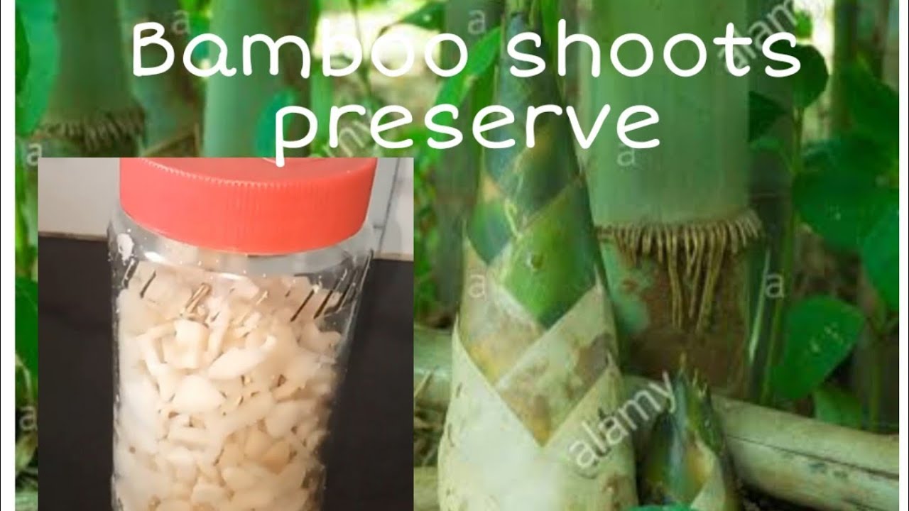 Bamboo shoots preserve for a long time / cleaning,chapping,uses ...