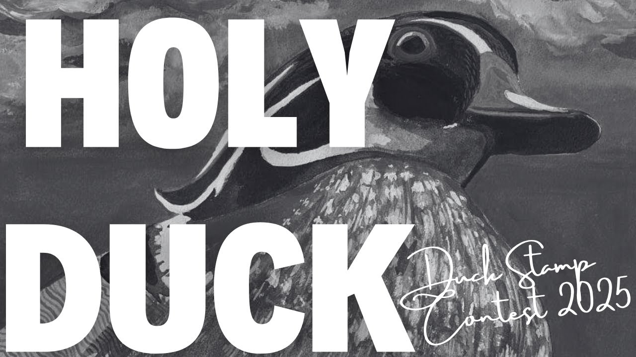 Duck Stamp Contest experience 2025 - YouTube