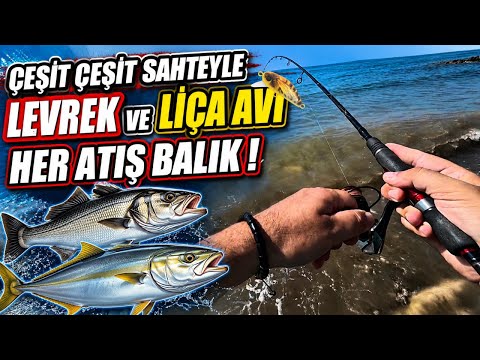 Levrek - Liça LRF’de Kalama Sesi ve Aksiyon Patlaması / Her Atış Balık / Hanfish Zıpır, Bıdık Hornet