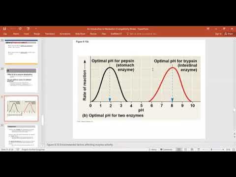 Chapter 8 - Part 3 - YouTube