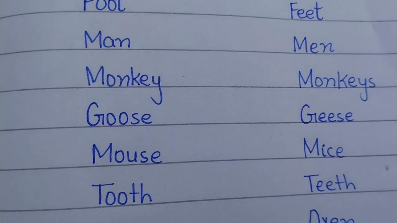 Some Common and Important Singular and Plural| Singular and Plural in ...