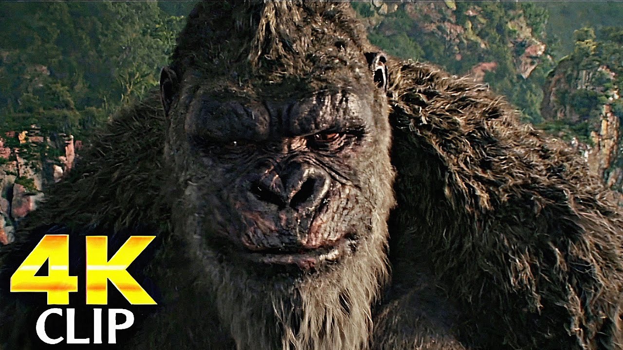 Come Down Here | GODZILLA X KONG THE NEW EMPIRE (NEW 2024) Movie CLIP ...