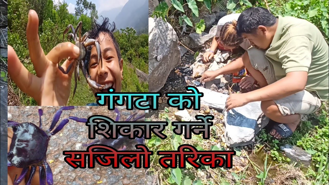 गंगटो फसाउने सजिलो तरिका CRAB HUNTING VIDEO | fishing in Nepal | purja ...