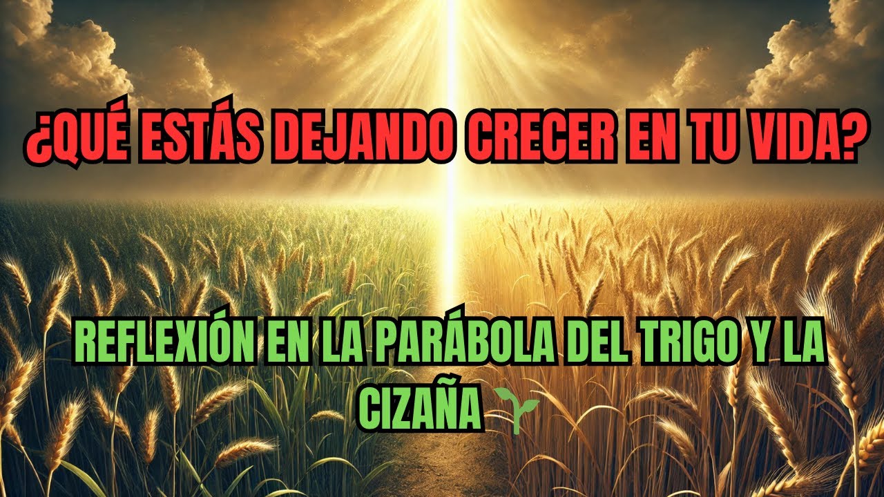 ORACIÓN POR SABIDURÍA Y FORTALEZA: REFLEXIÓN EN LA PARÁBOLA DEL TRIGO Y ...