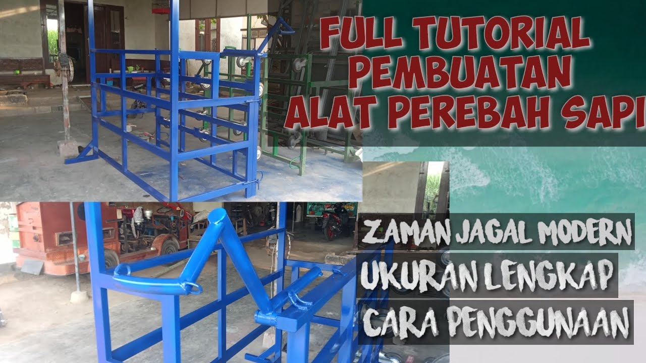 Cara membuat alat perebah sapi/kandang perebah sapi / membuat alat ...