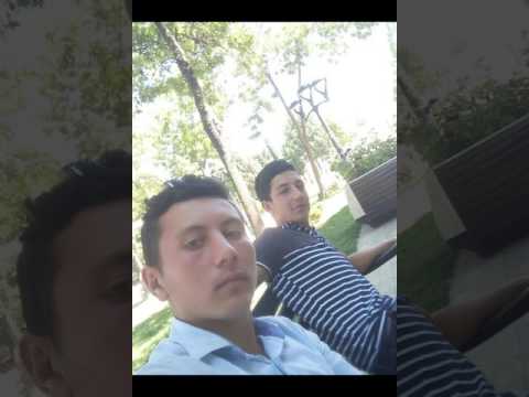 Qardawlar