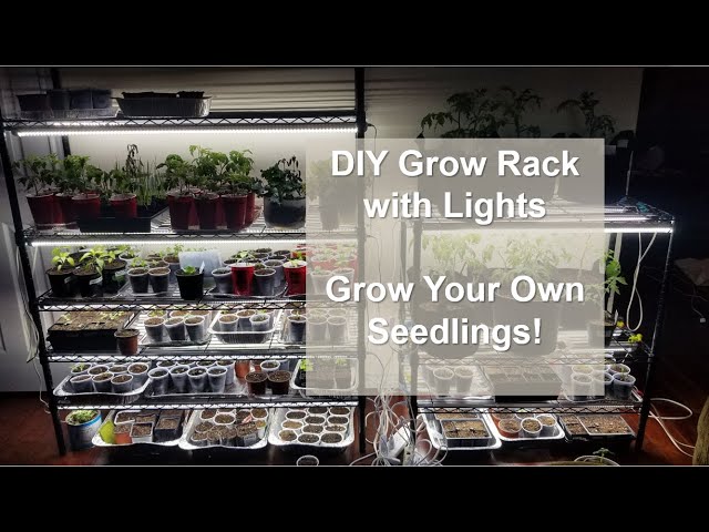 Seed Starting Stand Plans