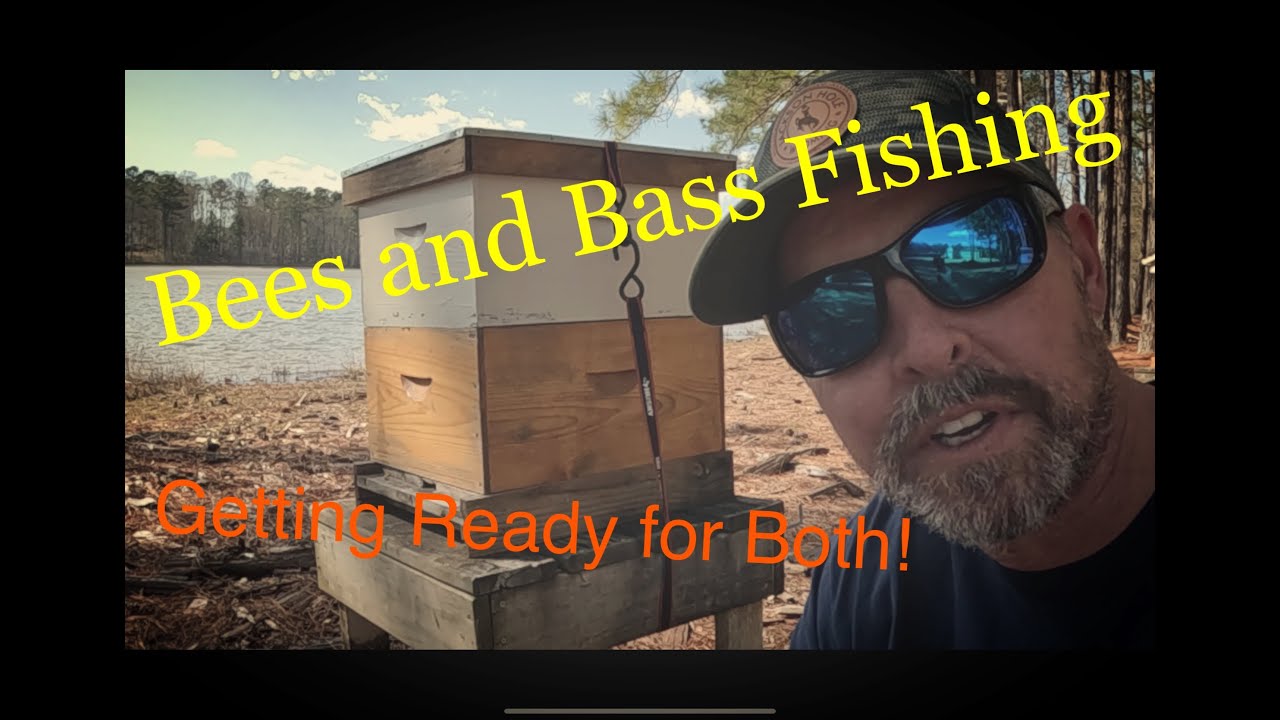 Beekeeping for Beginners | Bees and Bass at the end of February - Fishing