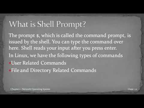 6 Shell & shell commands - YouTube