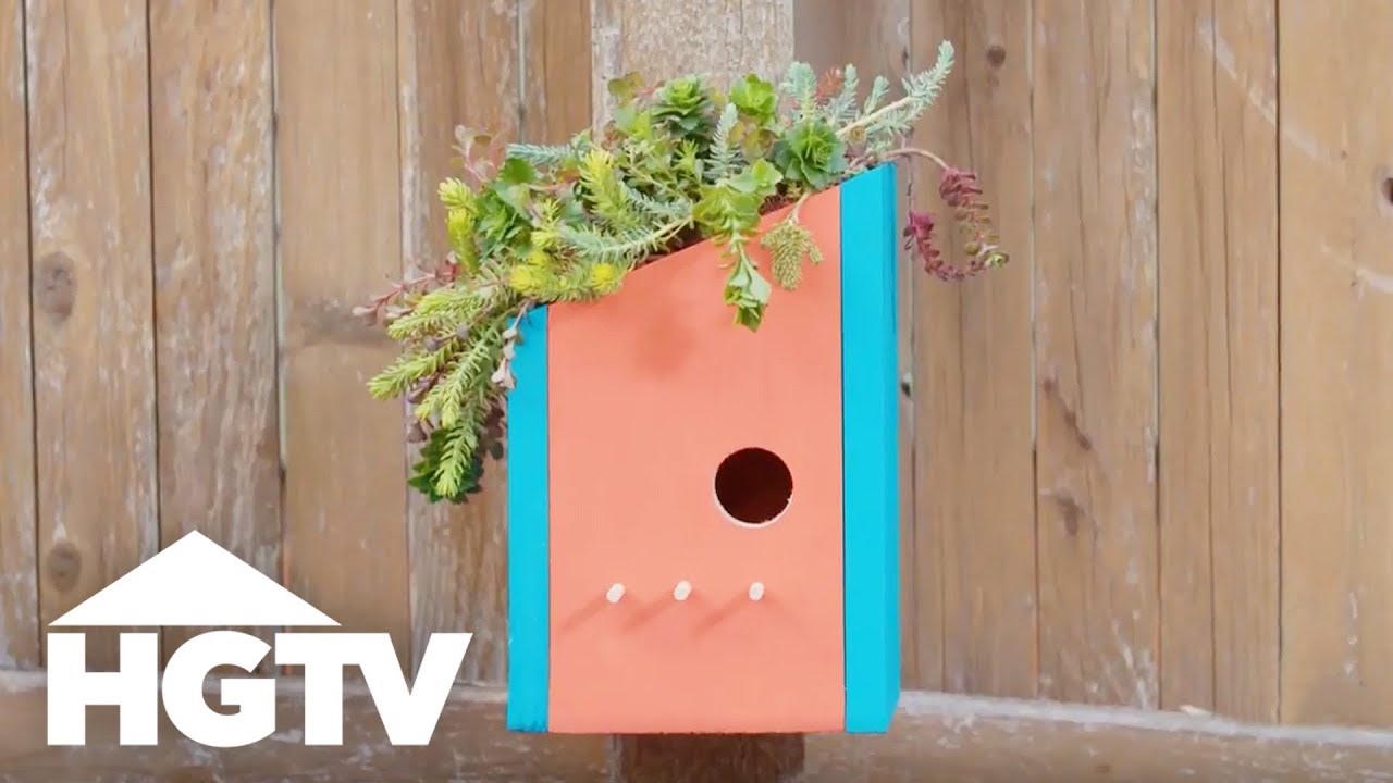 Way to Grow: How to Make a Living Roof Birdhouse | HGTV - YouTube