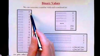 Binary Numbers and Data Representation - YouTube