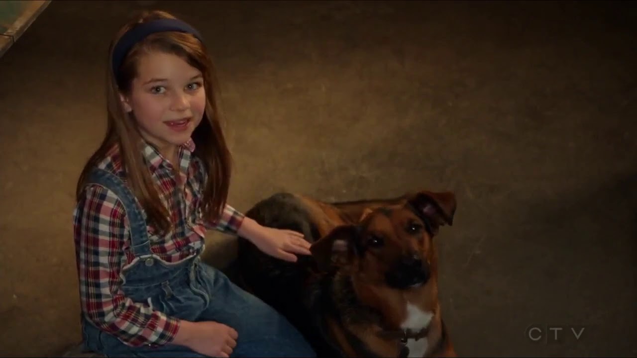 Young Sheldon afraid of Dogs│Bazinga TV │Young Sheldon S01 E20││ - YouTube