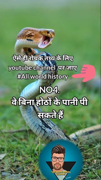 सांपों के बारे में 10 तथ्य क्या हैं |10 facts about snakes | #snakes ...