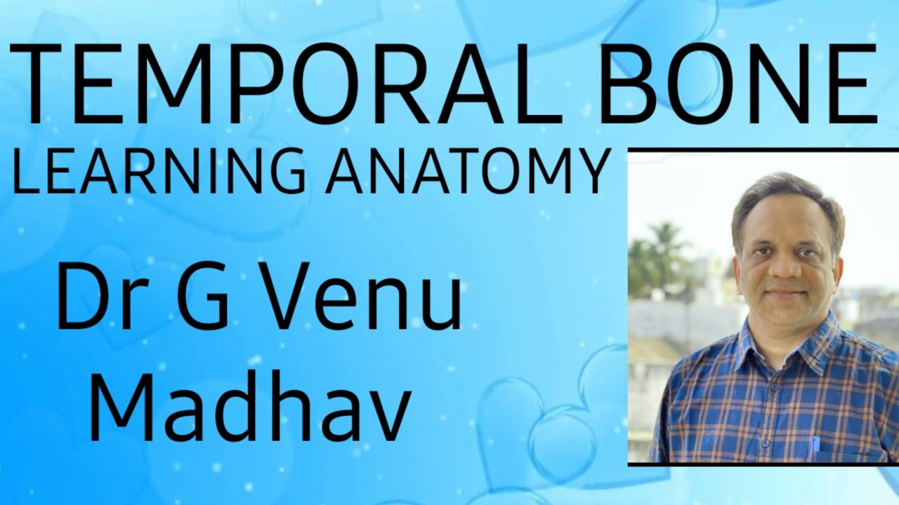 LEARNING ANATOMY TEMPORAL BONE... Dr G Venu Madhav - YouTube