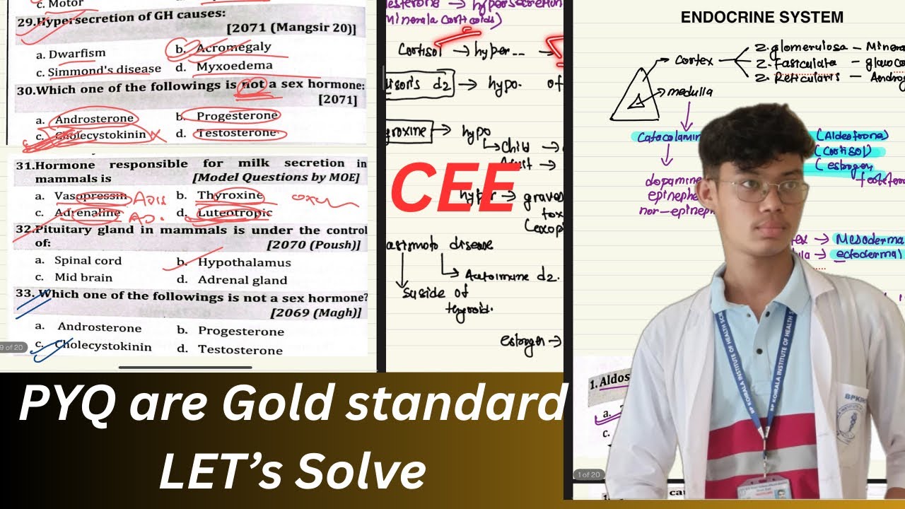 Endocrine system QAD ,past year question solve/CEE 2028 - YouTube