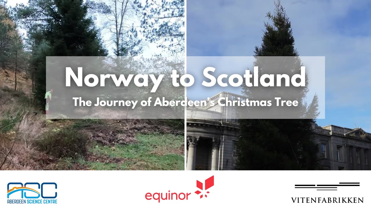 Norway to Scotland - The Journey of Aberdeen's Christmas Tree - YouTube