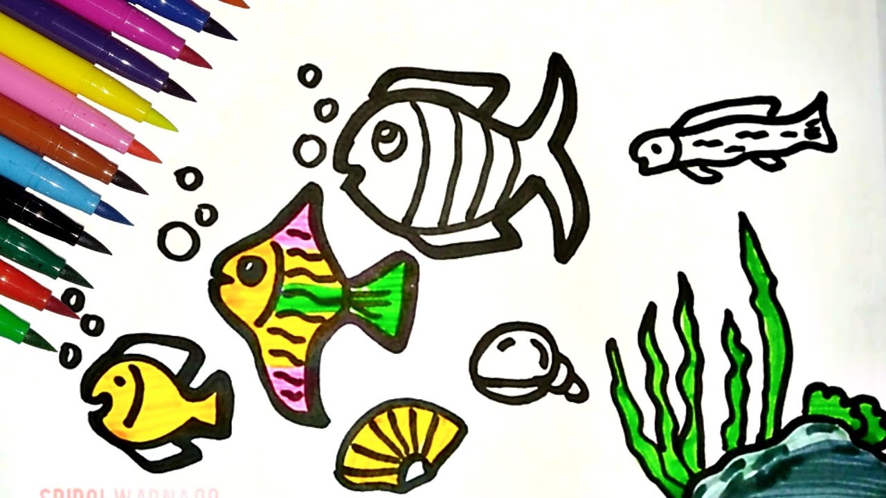 cara menggambar ikan | How to draw fish - YouTube