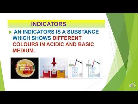 Class VII: Indicators - YouTube