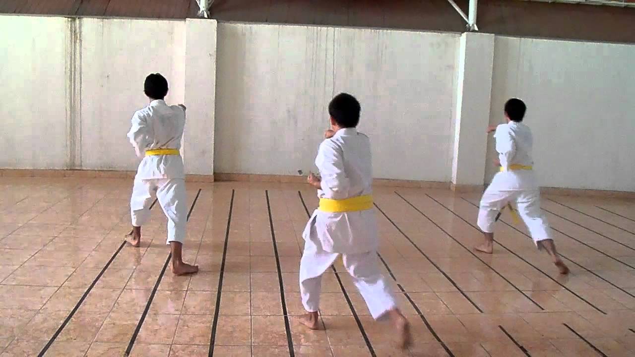 Shoto Ryu Rancagua-kata-shoto kata dai ni - YouTube