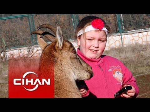 Melek, devletin el koyduğu Çarli'si ile aylar sonra buluştu