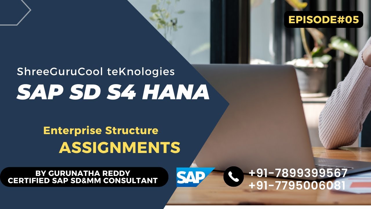 SAP SD S4 HANA : Enterprise Structure - Assignments - YouTube
