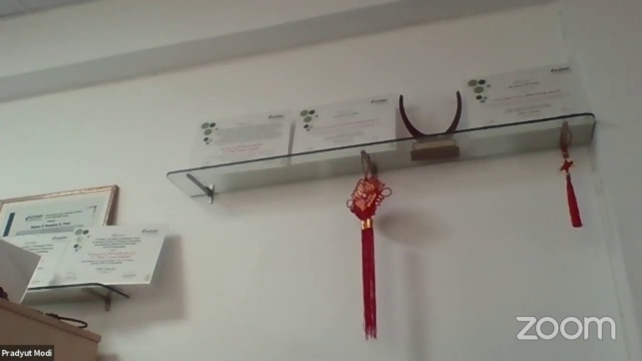test-zoom-meeting-youtube