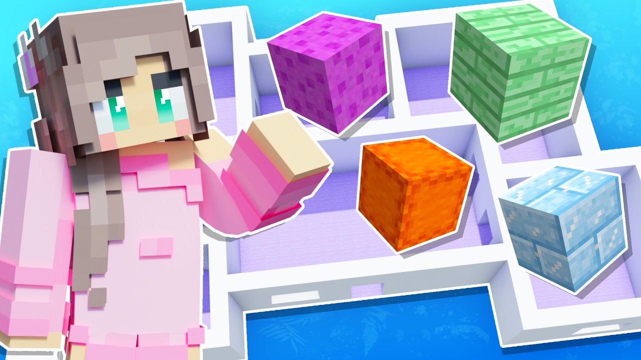 EVERY Block is RANDOM in my Minecraft House! - YouTube