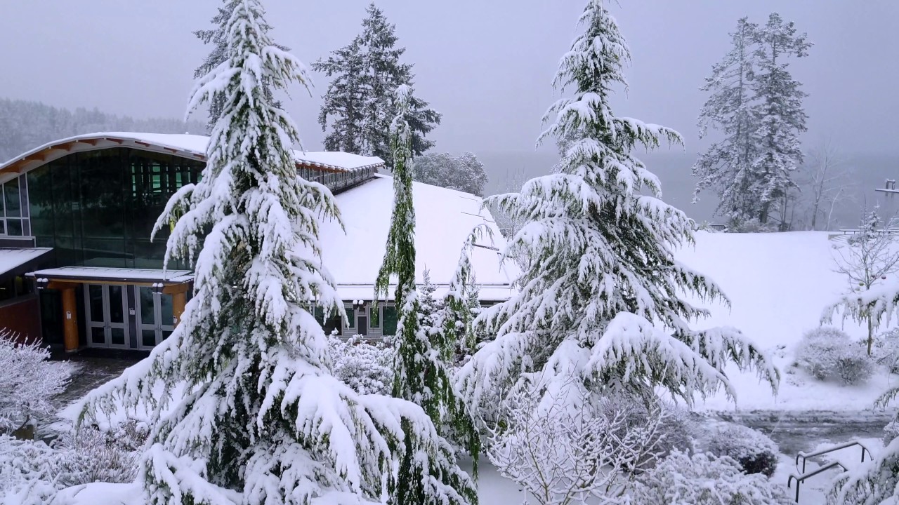Snow Day: Mill Bay, BC - YouTube