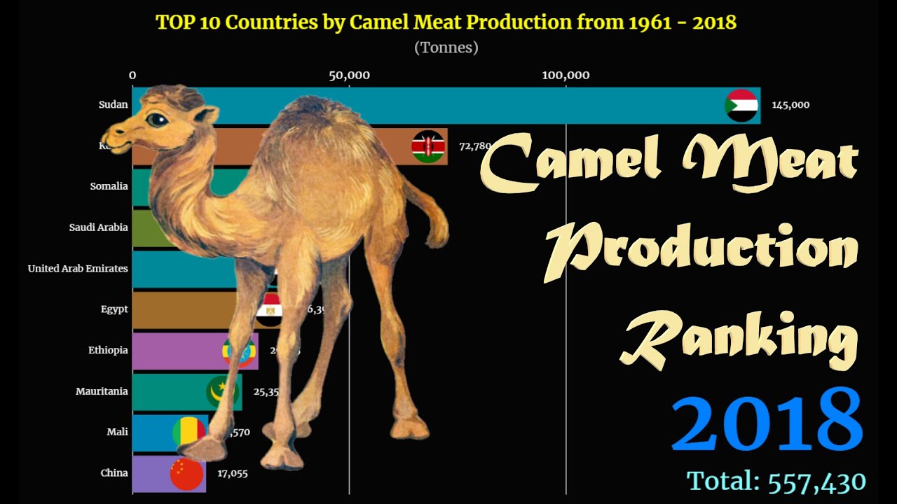Camel Meat Production Ranking | TOP 10 Country from 1961 to 2018 - YouTube
