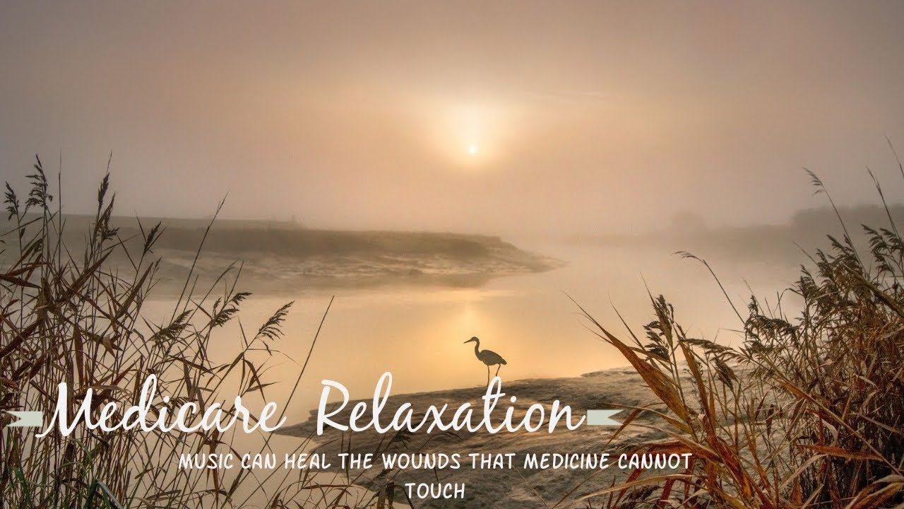 Birds Humming Sounds | Relaxation Music | Meditation | Mind Relaxation ...