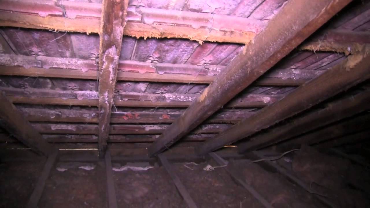 Chemical Delignification - YouTube