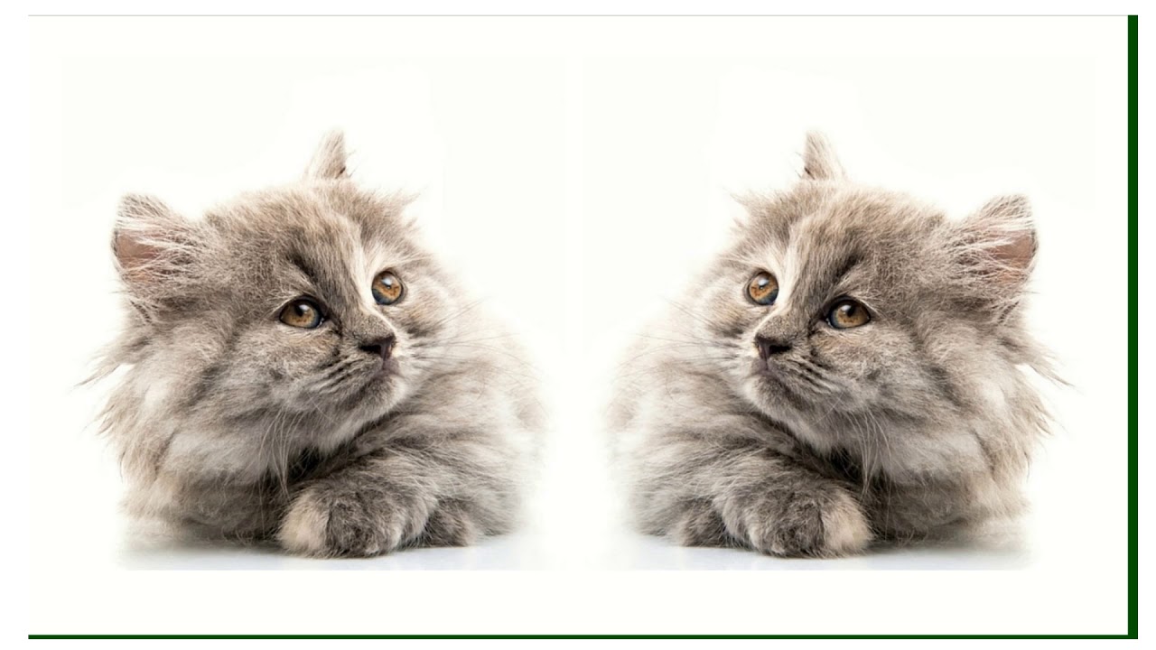 Copy Cat Rhythm - YouTube