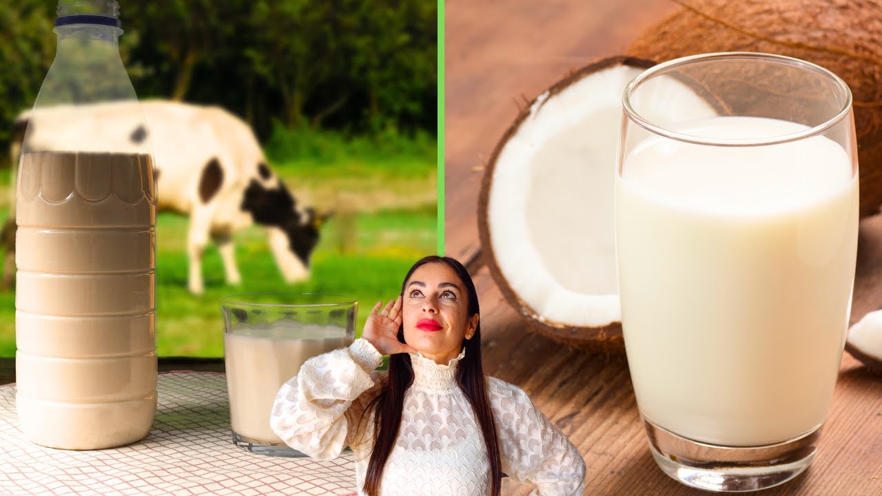 🥥Que es MEJOR la LECHE DE VACA o la LECHE DE COCO Leche de Vaca o ...