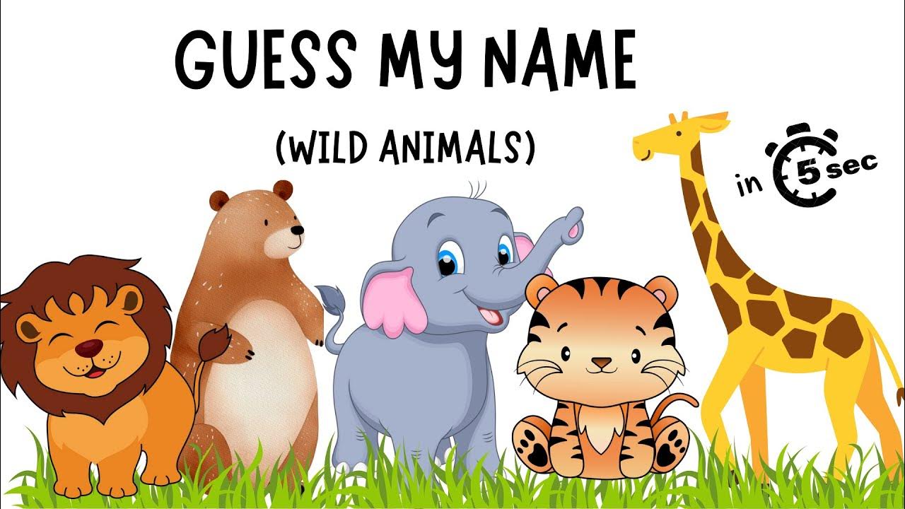 Guess the Wild Animal Challenge for Kids - YouTube