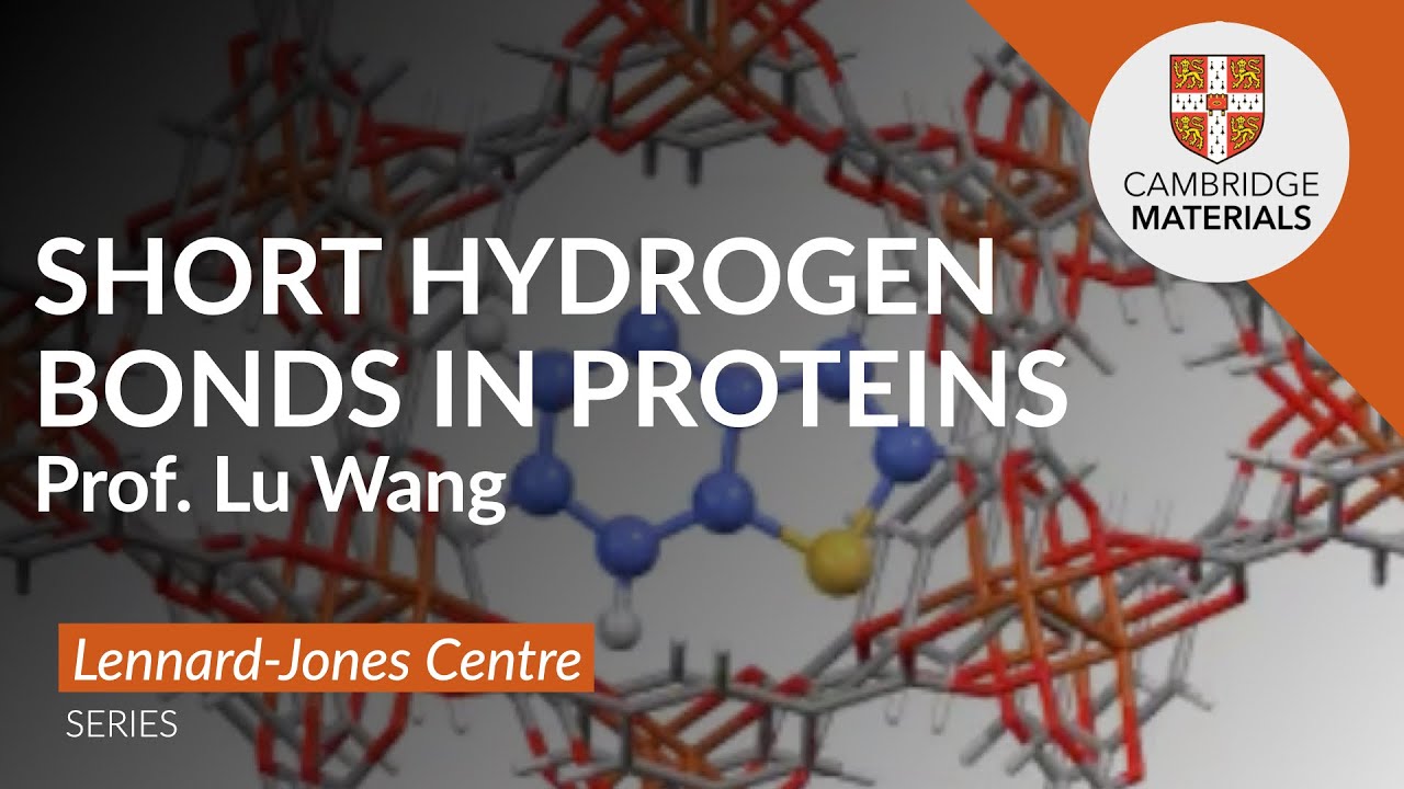 Structures and Quantum Effects of Short Hydrogen Bonds in Proteins ...