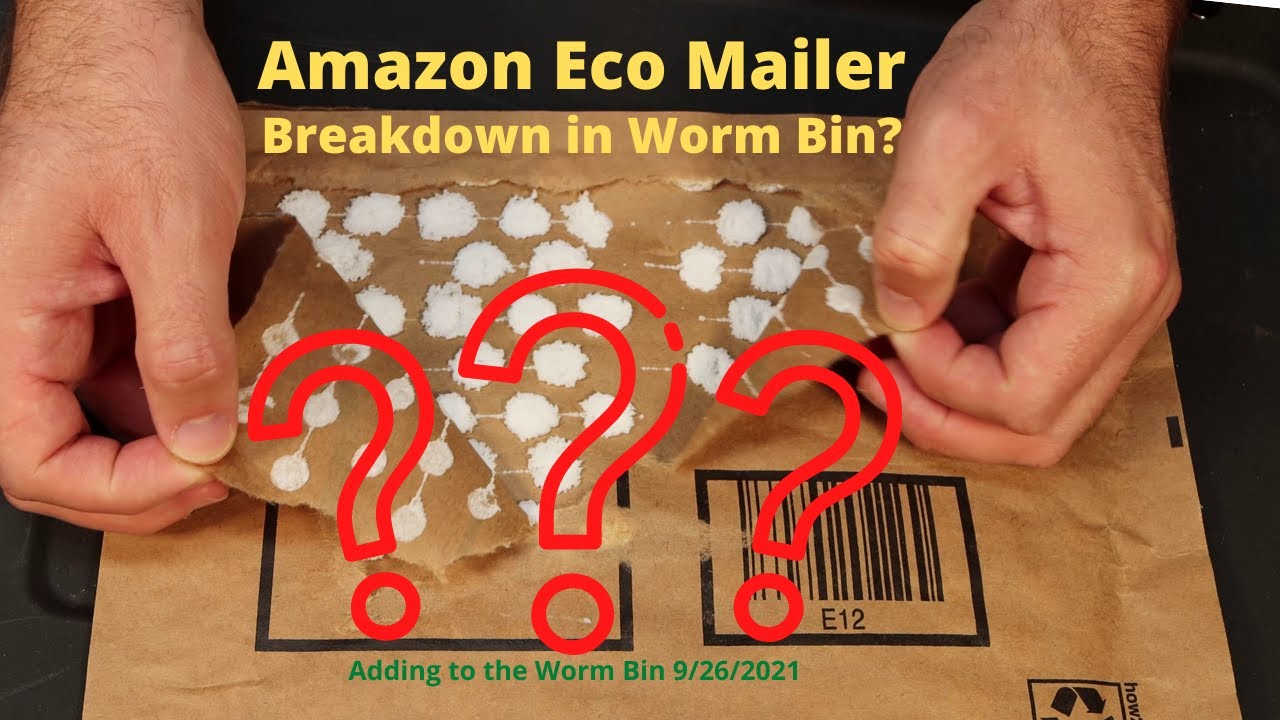 Adding Amazon Eco Mailer to a Worm Bin?? First Video 9/26/2021 - YouTube
