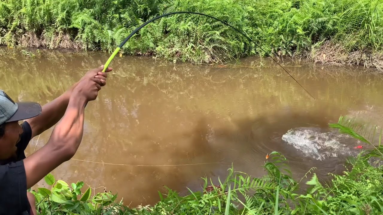 BERTAHUN TAHUN NGGAK ADA YANG MANCING IKAN DI SUNGAI INI JADI MONSTER ...