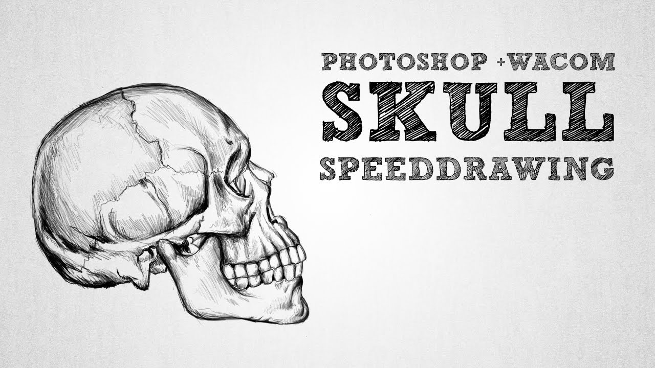 Wacom speed art - Sketching realistic skull using the crosshatch method ...