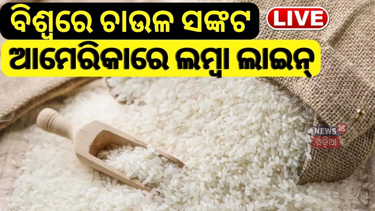 Live: ଚାଉଳ ରପ୍ତାନି ଉପରେ କଟକଣା ଲଗାଇଲା ଭାରତ, Americaରେ ଅଭାବ | Rice Price ...