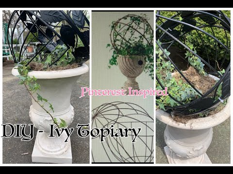 DIY - IVY TOPIARY | PINTEREST INSPIRED - YouTube