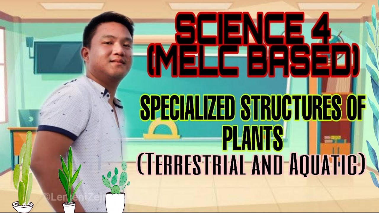 SPECIALIZED STRUCTURES IN PLANTS (TERRESTRIAL AND AQUATIC) II SCIENCE 4 ...