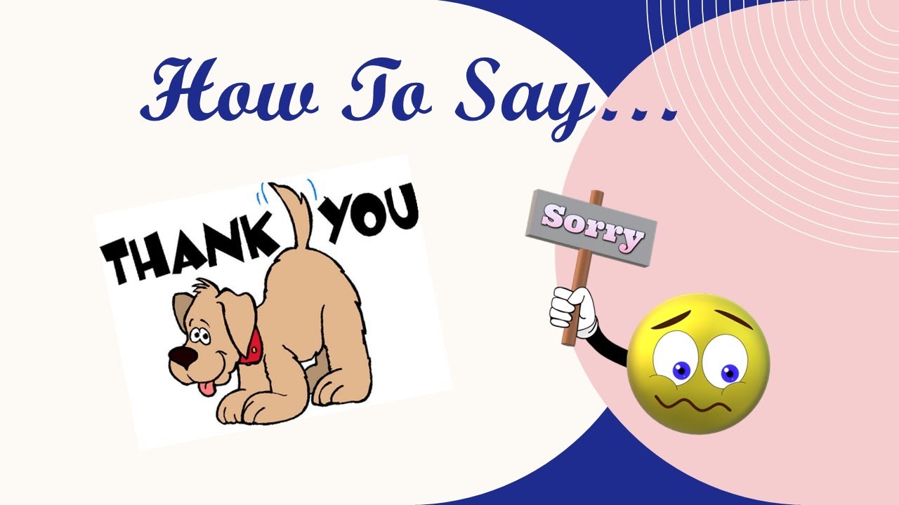Many Ways to Say THANK YOU and SORRY in English #English #Grammar # ...
