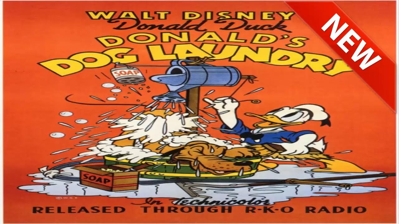 Donald Duck Cartoons Full Episodes & Chip and Dale , Mickey, Pluto, etc ...